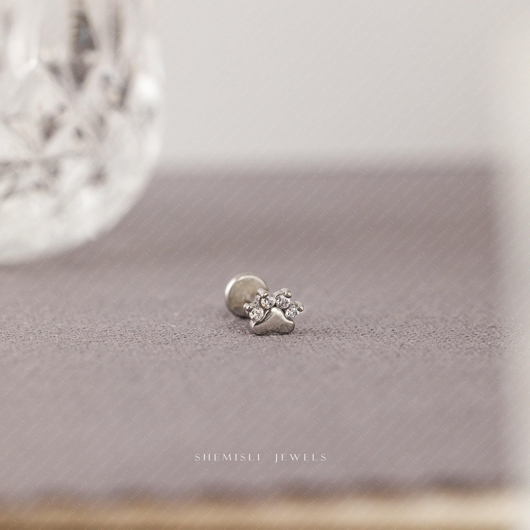 Tiny Paw Threadless Flat Back Earring, 20,18,16ga, 5-10mm Unisex ...